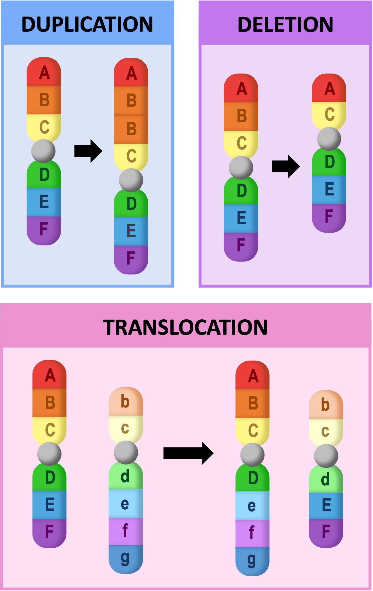 Types of Mutations