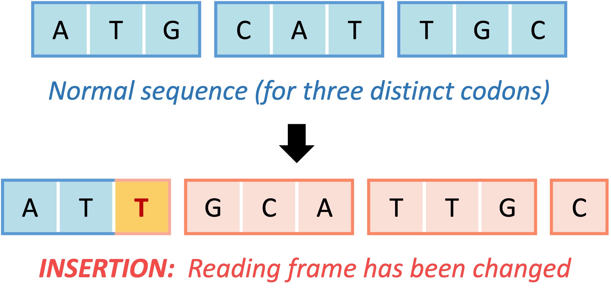 Types of Mutations